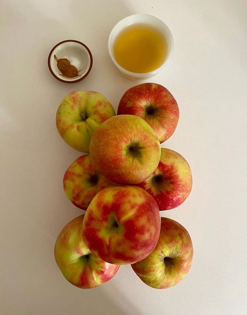 Homemade Applesauce (No Sugar Added) - Healthy Mom Healthy Family